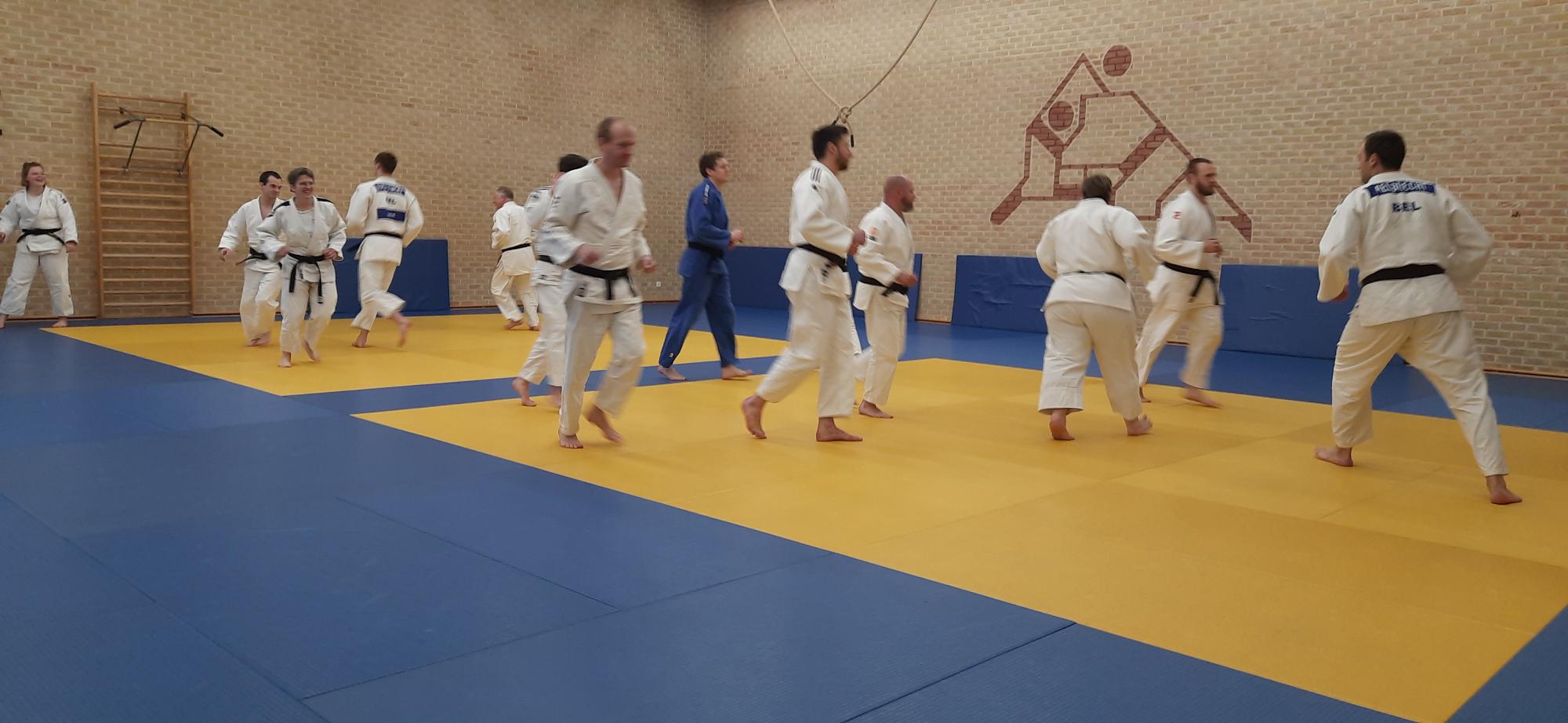 VTS-Trainersopleidingen 2023 - Judo Vlaanderen